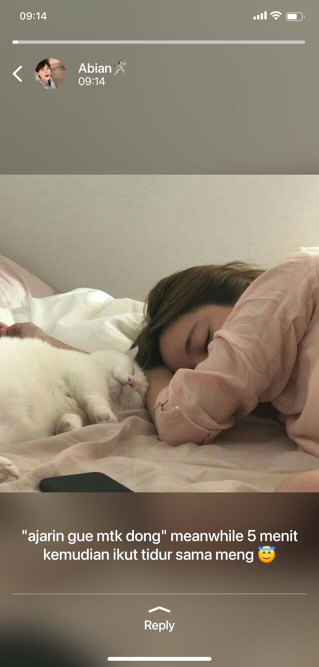 kiya | new au📌 on Twitter: "#6 https://t.co/Odc20MPEOv" / Twitter