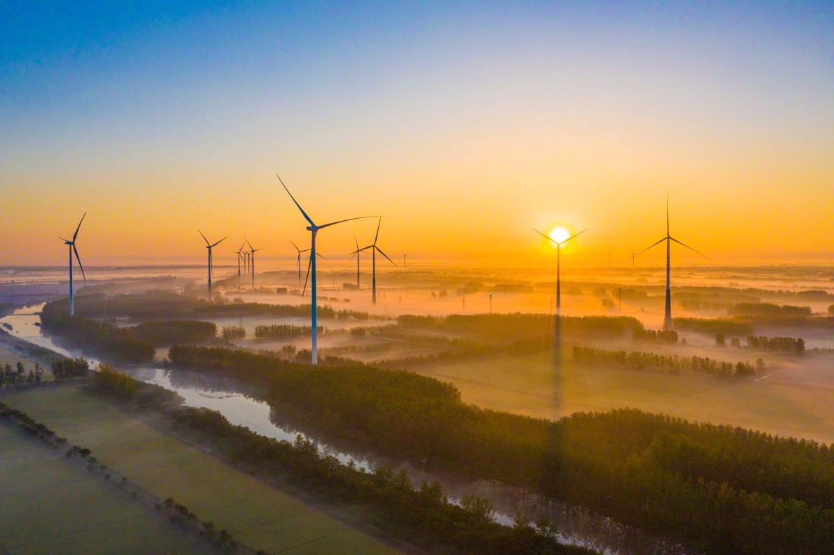 Boasting a large carbon market and clean power generation system, # ...