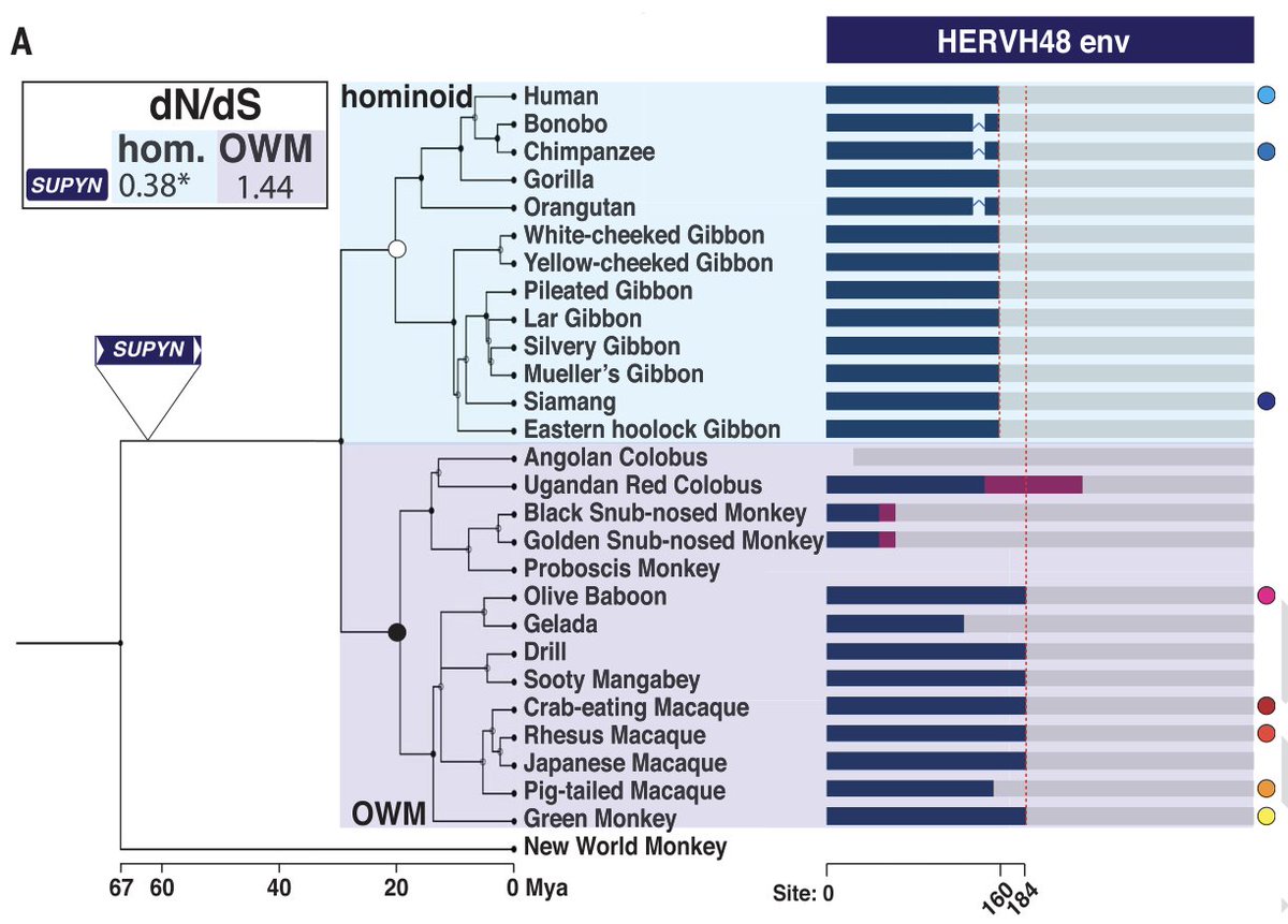 Thread by @jofrank1088 on Thread Reader App – Thread Reader App