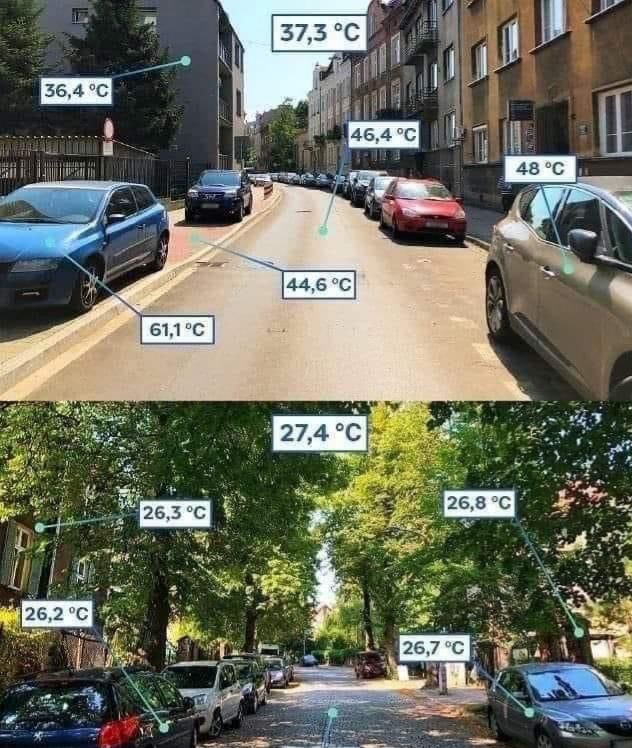 čika deka on Twitter: "posvećeno ministru građevine i infrastrukture... https://t.co/jYnXrWvFti ...