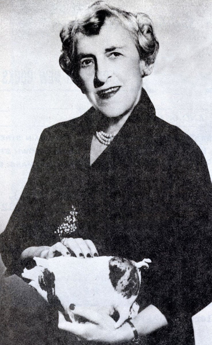 Thread by @DavisSalika on Thread Reader App – Thread Reader App