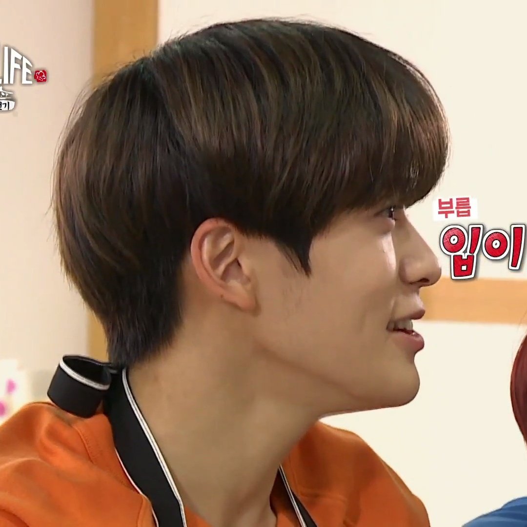 Kanokwan phatkreo on Twitter: "RT @aquariusjjh: (｡ ‿ ｡)"