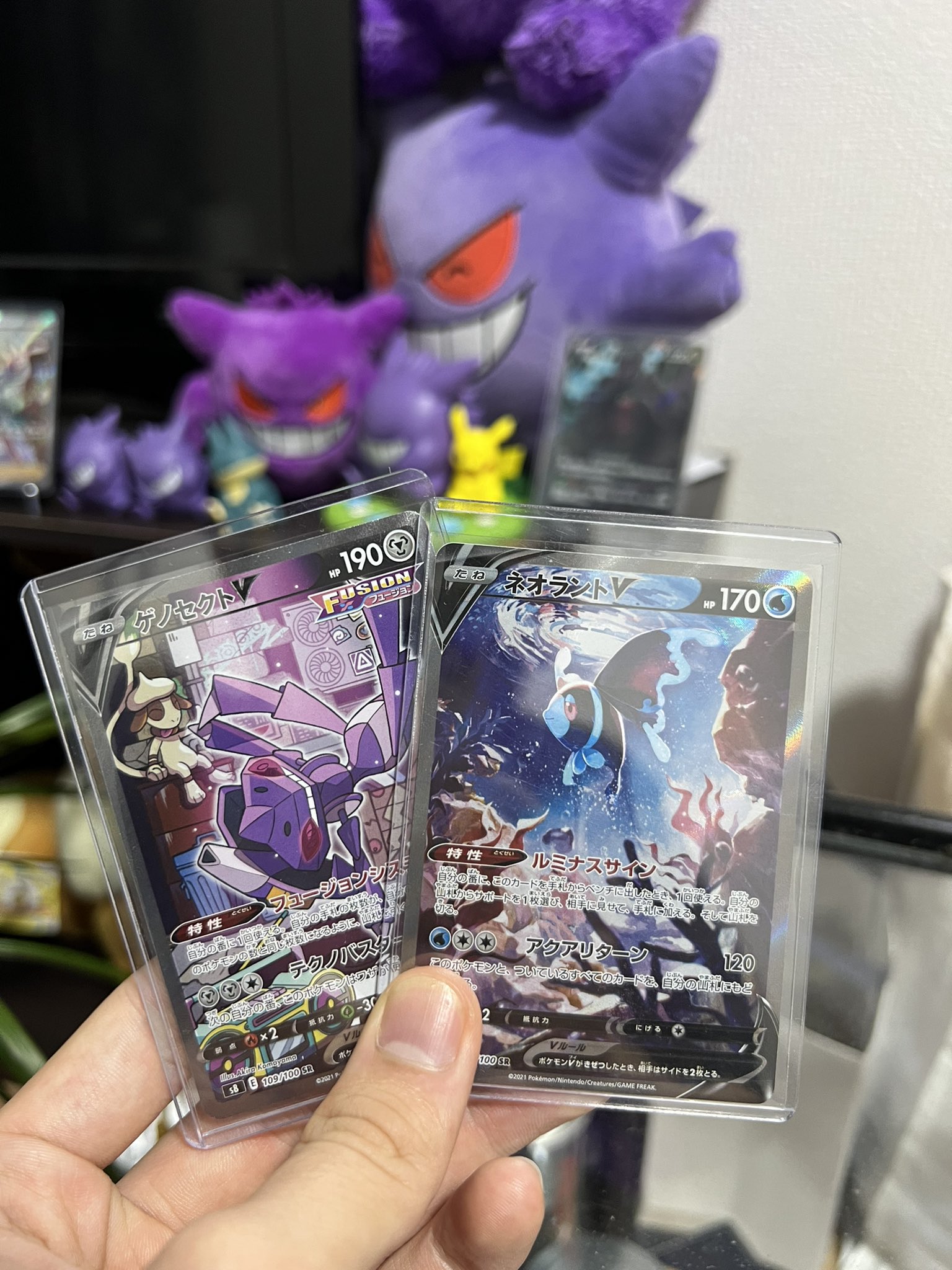 ポケ丸水産🐟 (@pokemaru_suisan) / Twitter