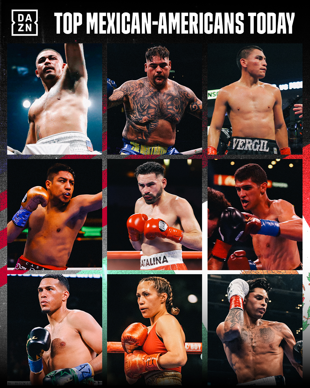 Mexican Boxers Names