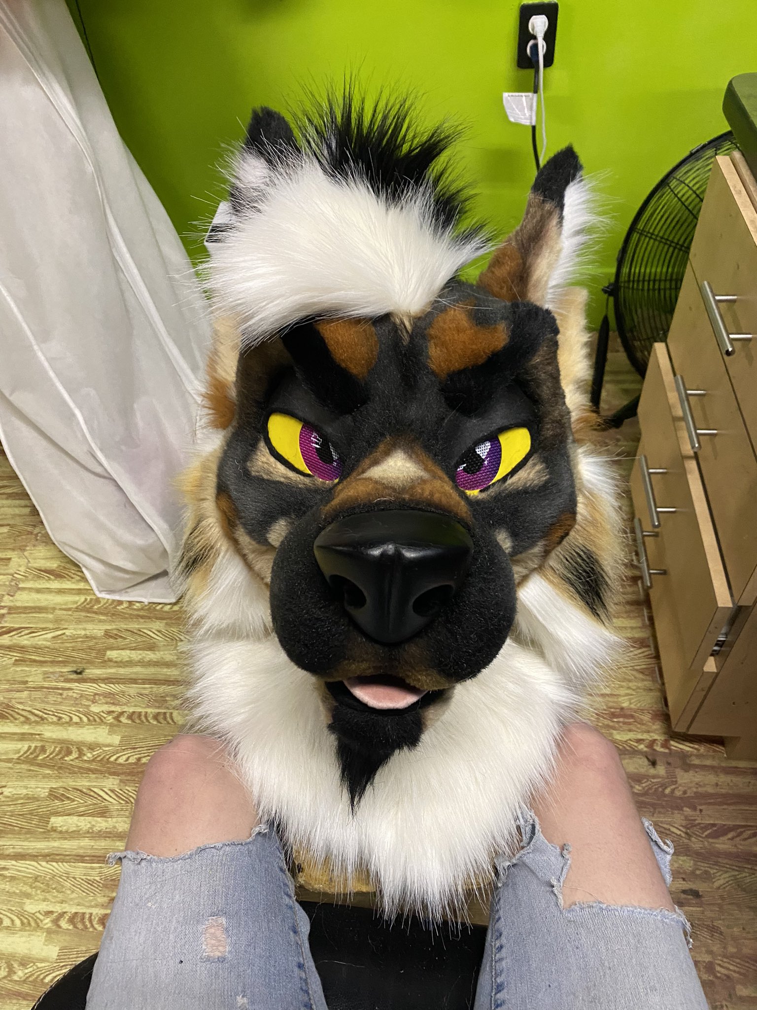 Made Fur You on Twitter: "Oh my! Handsome wuff in the shop! Someone better take him!! 🌙 🐾 🐺 🔥 ...