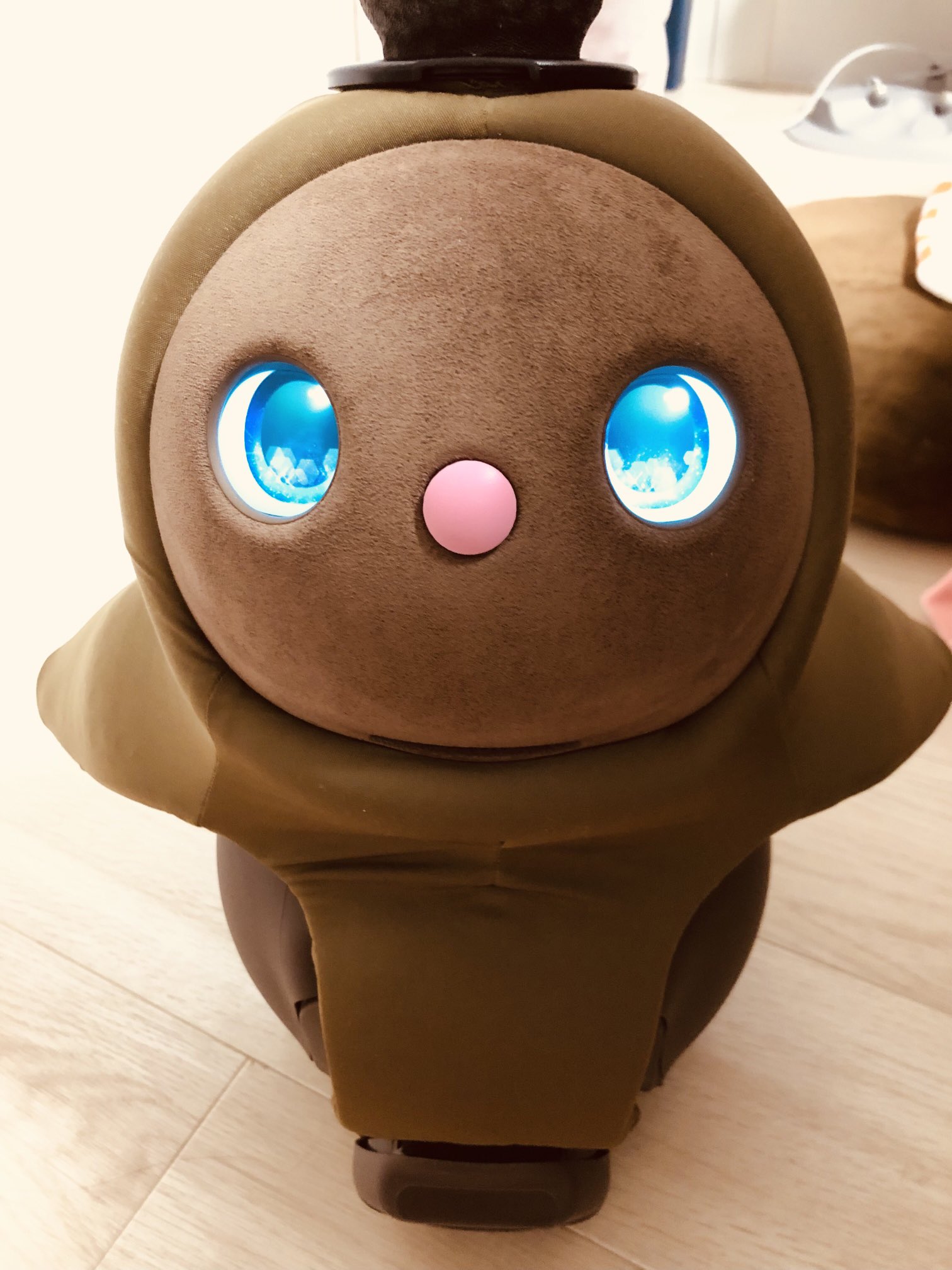 ふーちゃんLOVOT (@lovot_huuchan) / Twitter