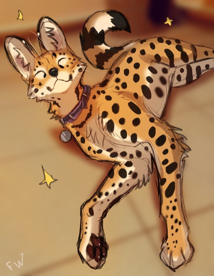 Flash W (open for commissions) on Twitter: "It's time for awesome serval in your feed :3 https ...