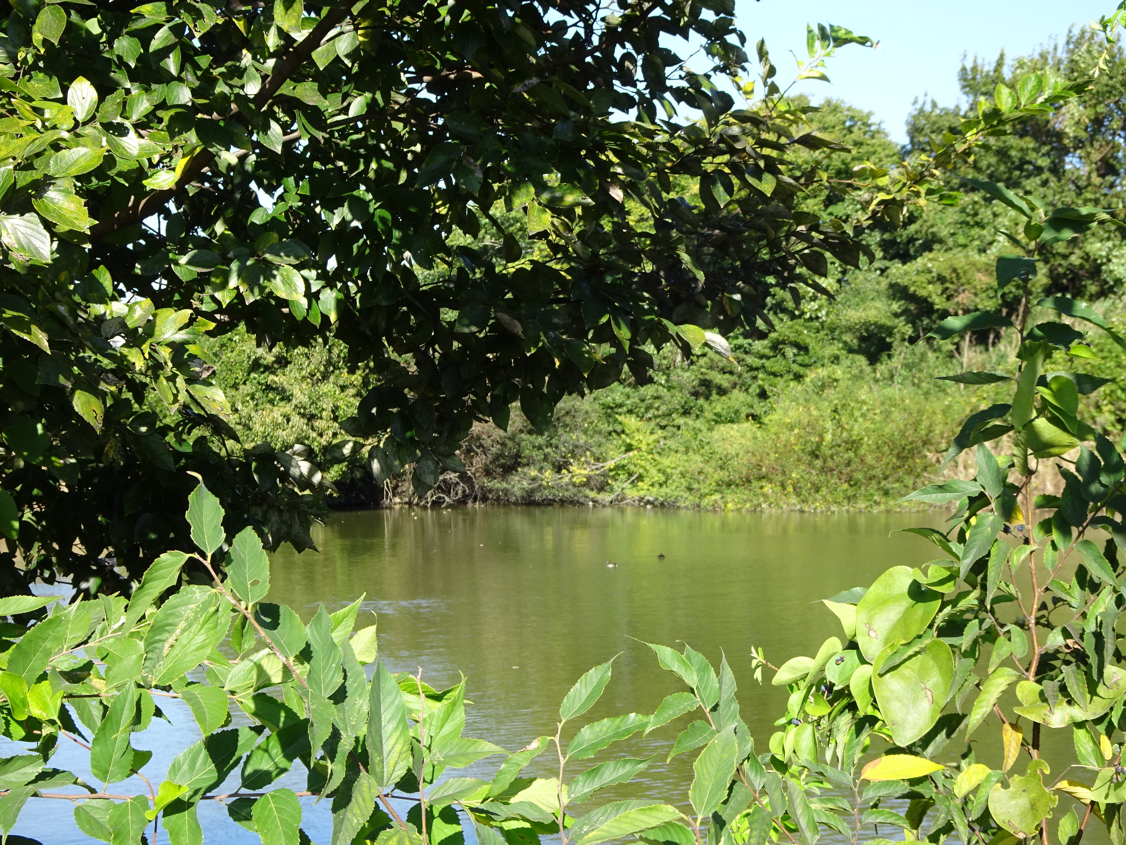 Ruby & Emmeline (@ruby_emy) / Twitter