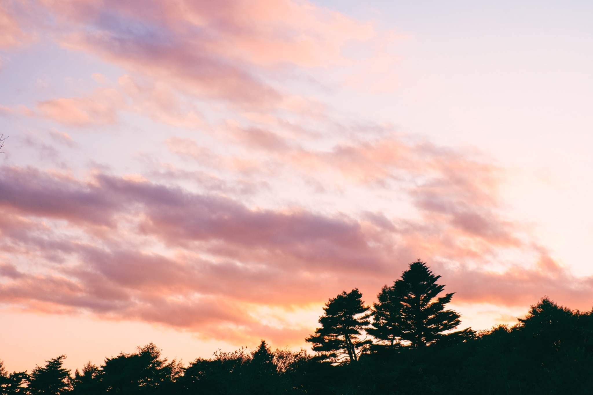 ziteng cui (@Empire_Xiao_Yan) / Twitter