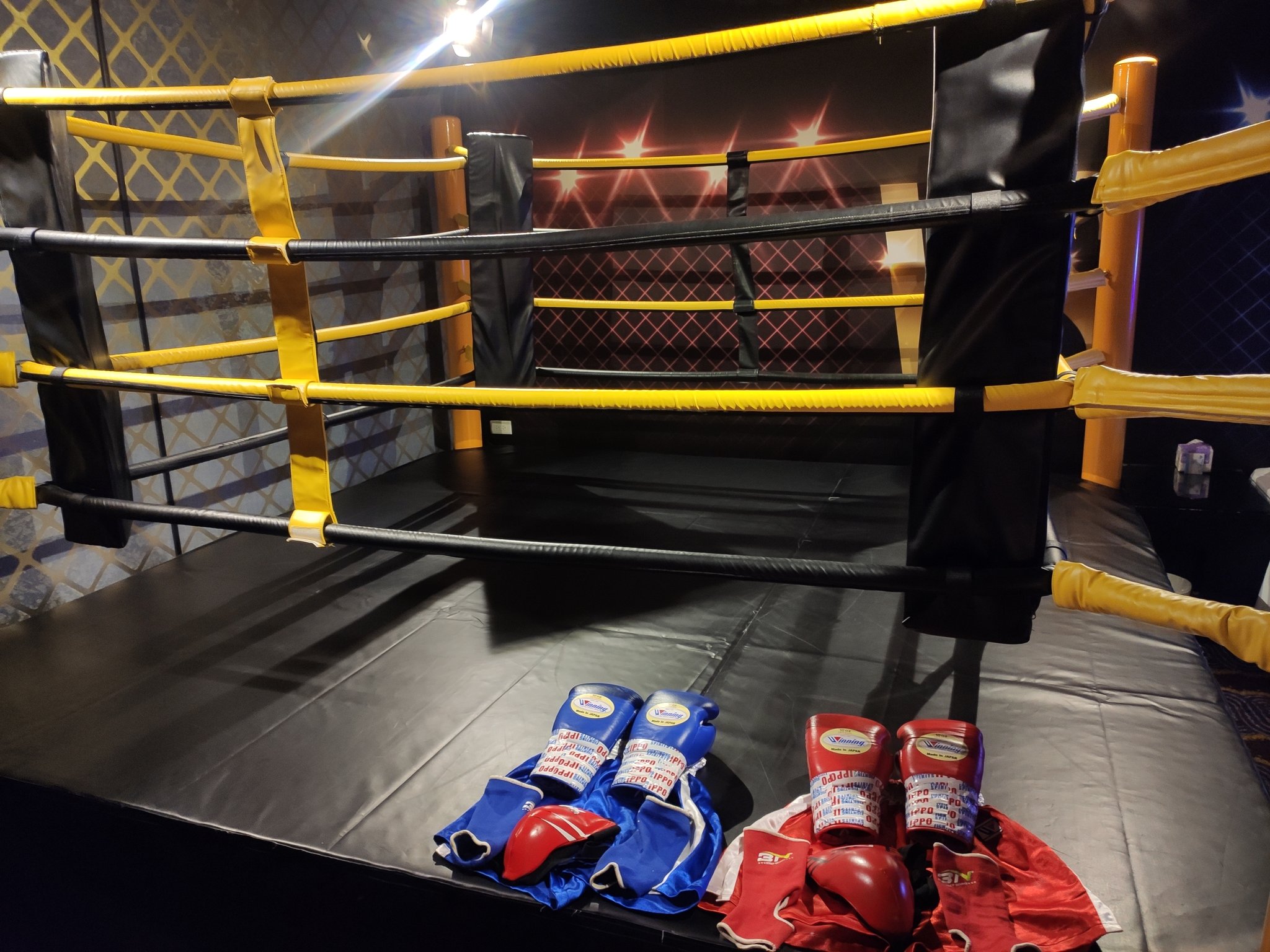 李冠欣 on Twitter: "今晚是拳擊的夜晚🥊🥊 Tonight is boxing time 🥊🥊 https://t.co/VbKZxmMpFW" / Twitter