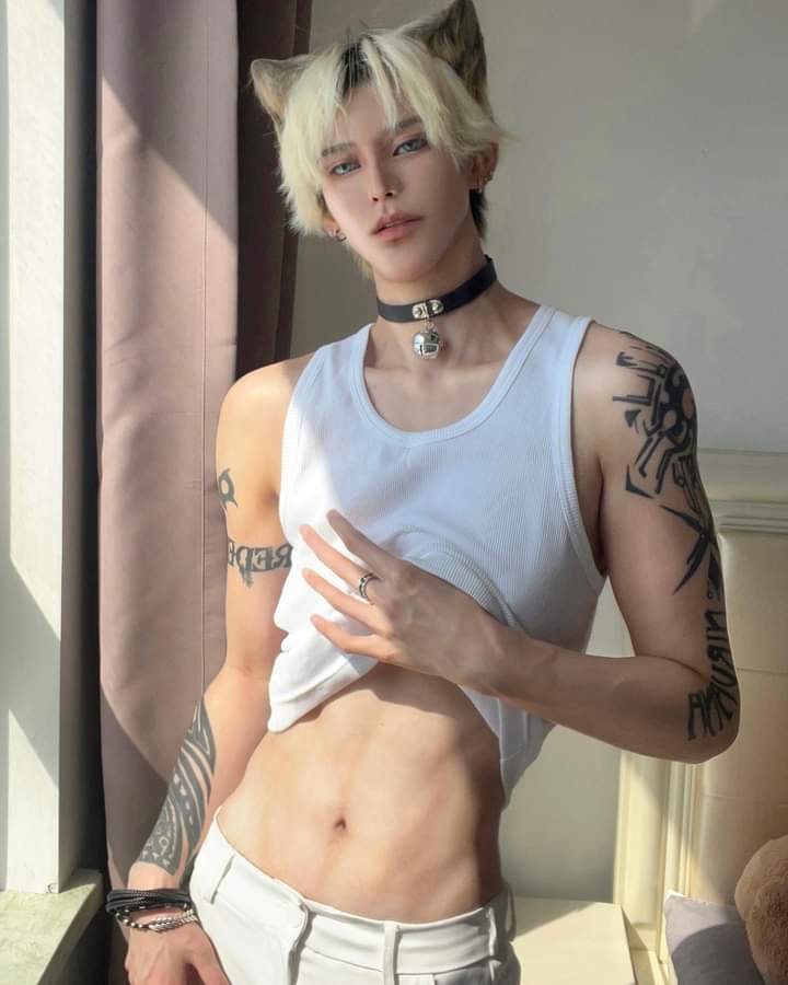 唯安Vann on Twitter: "据说猫咪喜欢和信任你的时候会让你摸它的肚子。 https://t.co/b4iLpRl6IM" / Twitter