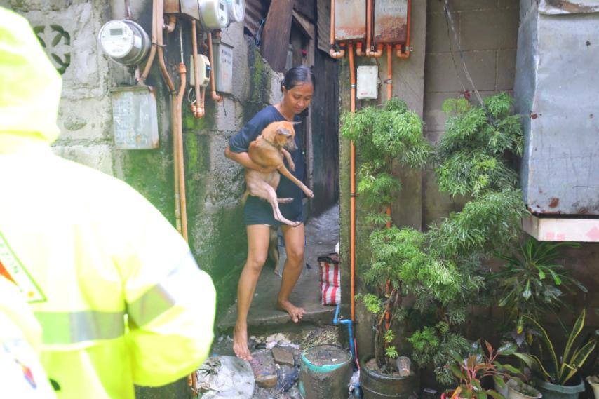 Quezon City Government on Twitter: Quezon City Government on Twitter: