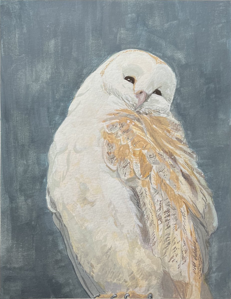 「a barn owl practice that is also a paint」|kawolのイラスト