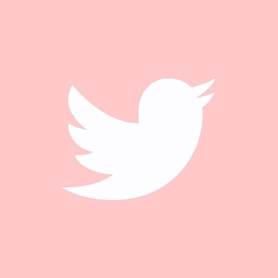 Follow Me On Twitter Pink