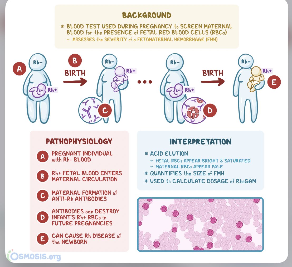 سمعتم قبل عن تحليل Kleihauer-Betke Test ؟ 👀 اذا لا ركزوا معاي وخلونا ...