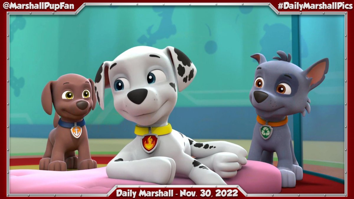 Marshall Pup Fanatic on Twitter: Marshall Pup Fanatic on Twitter: