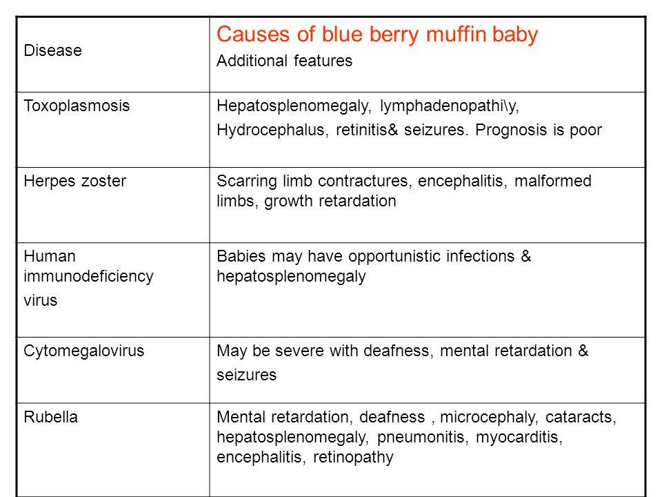 Blueberry Muffins Rash