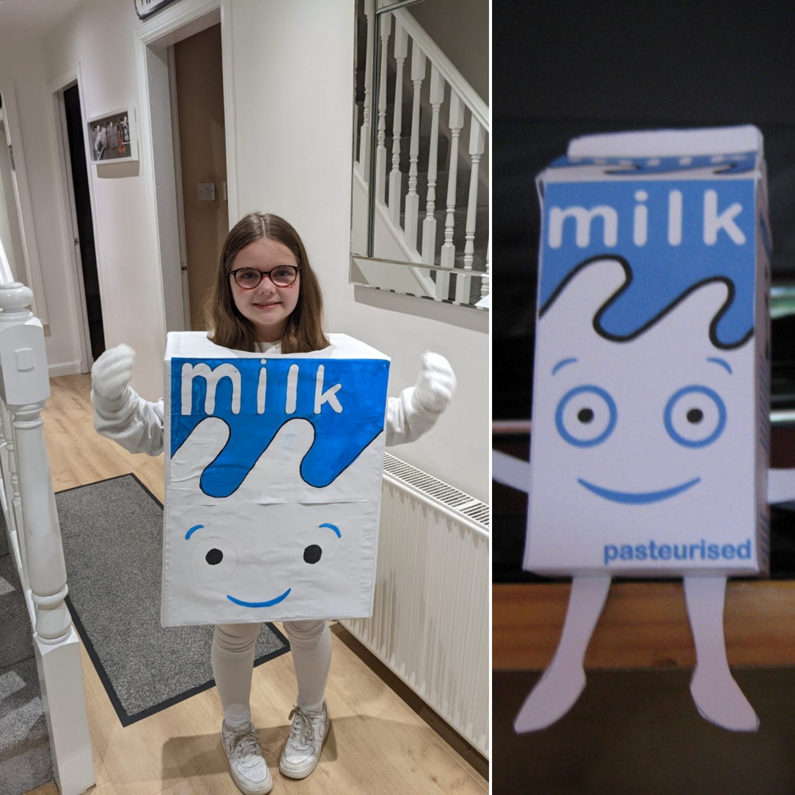 Milk Carton Costume For Adults