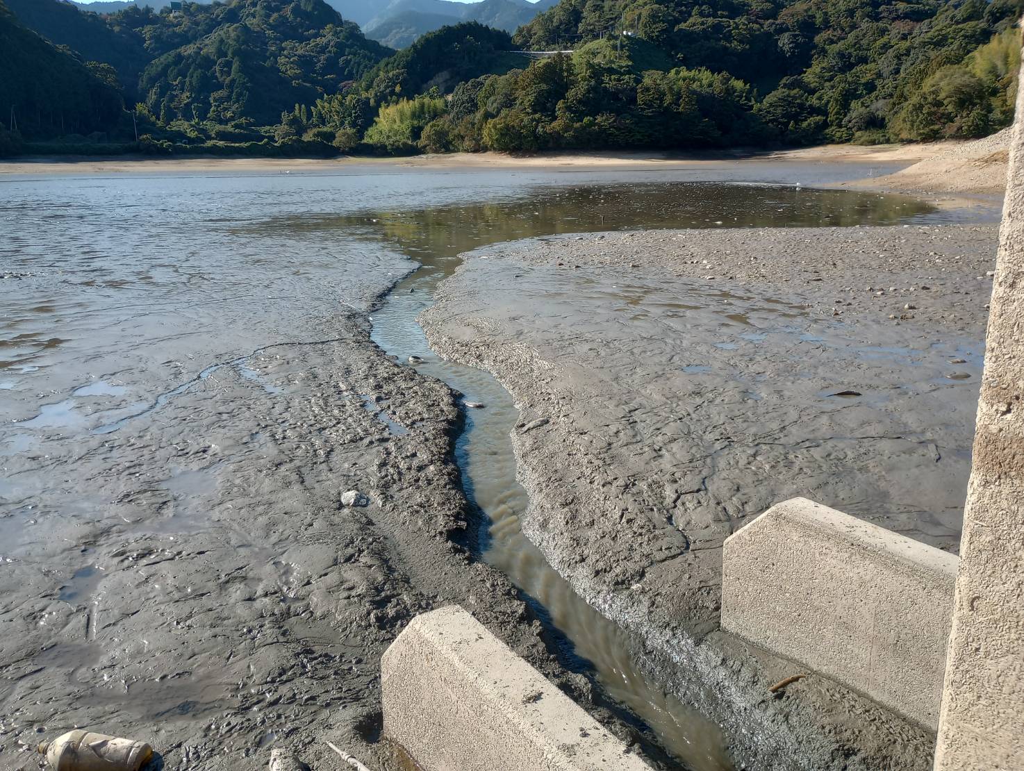 o36 on Twitter: "始まりのメジャー野池死亡情報が来た😱 https://t.co/nVYwZaCHvn" / Twitter