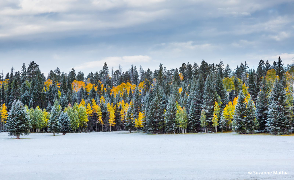 Photo Of The Day By Suzanne Mathia https://t.co/GBQeZwsHFM #photography ...