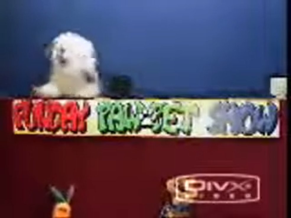 crazy ass moments in furry history on Twitter: "Mr. Carrot from the The Funday Pawpet Show ...