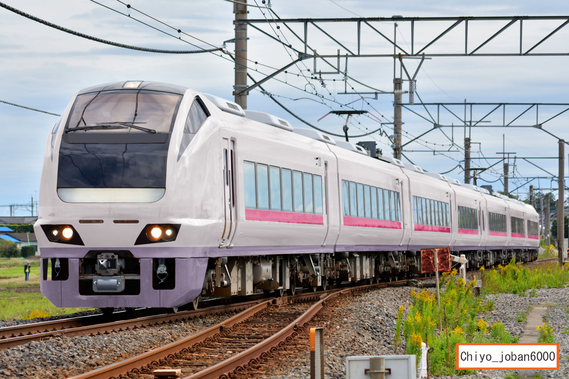 やまぶき on Twitter: "前に作ったE657色のE653系も何か物足りなかったので目力マシマシMAXにしてみた https://t.co/e7mDfYc6dd" / Twitter