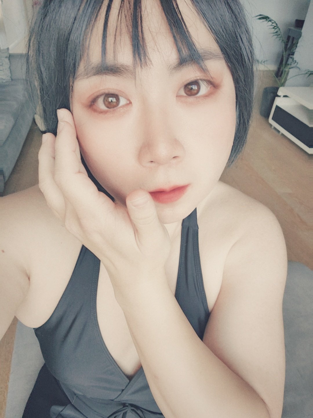 震惊猫 Maplelinden Twitter