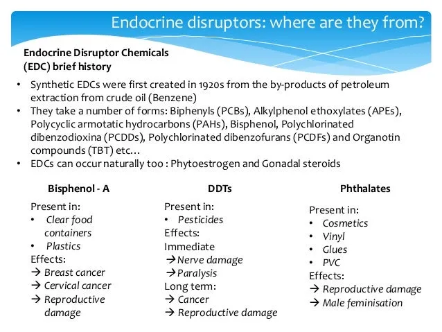 Polyester is in 90% of your Favourite Brands and Here's How It's ...