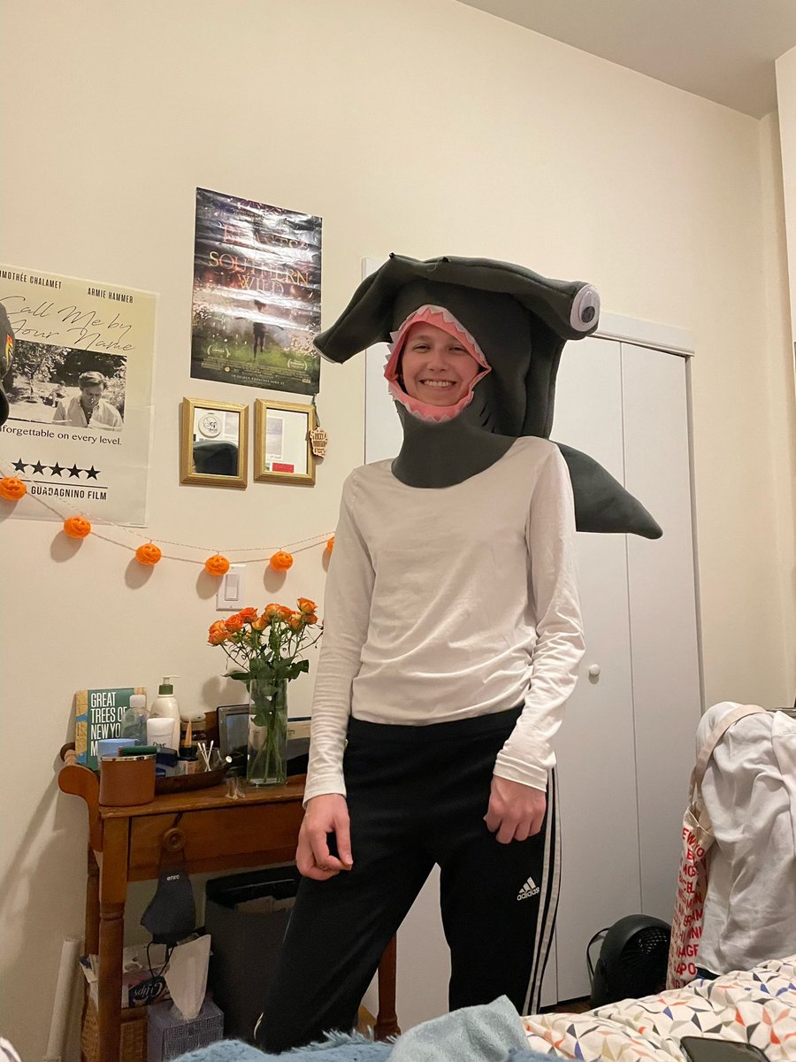 Shark Costumes In Target at Mary Toby blog