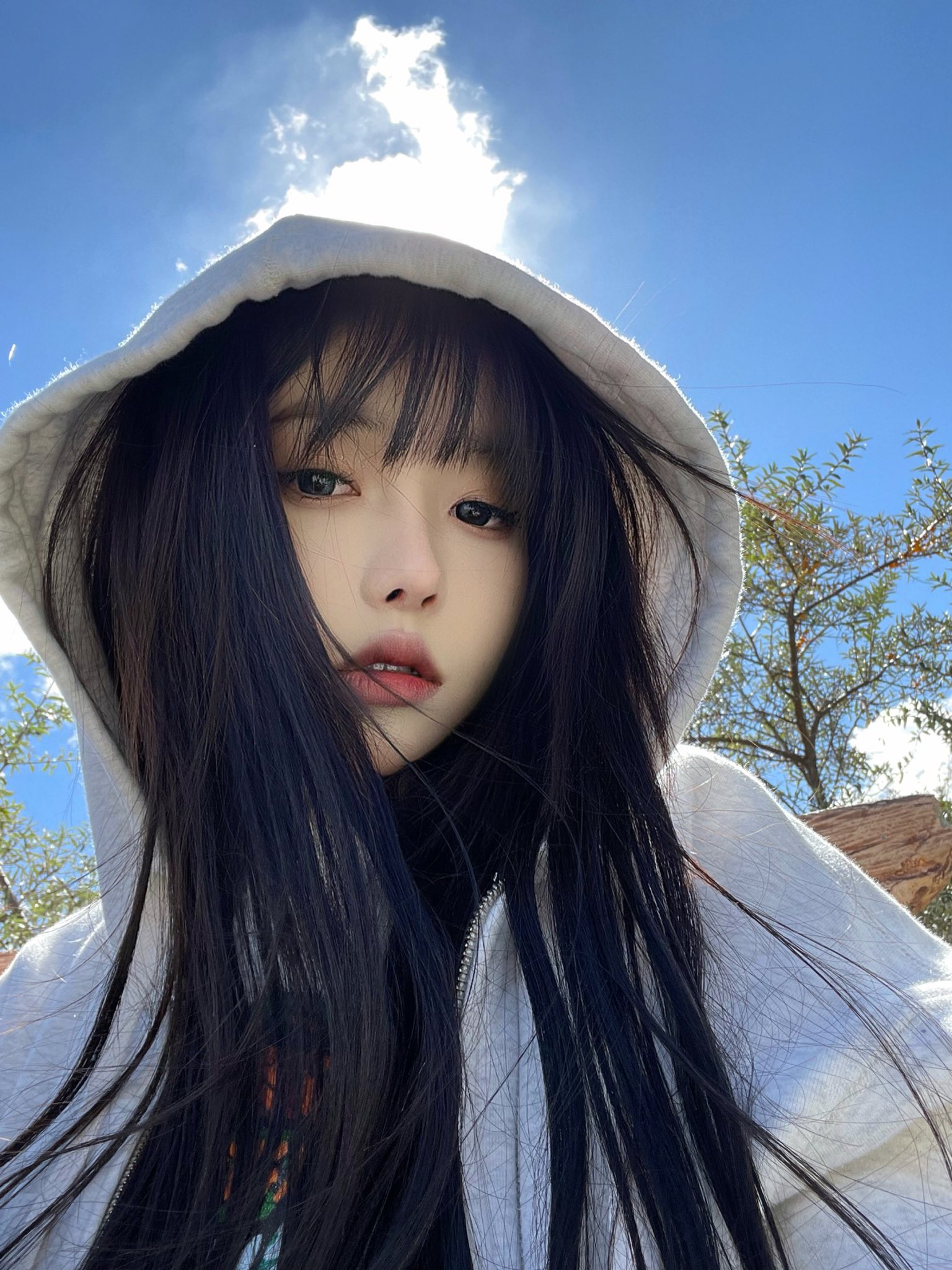 🤍绿山墙 on Twitter: "爱是什么东西 https://t.co/JsGYTyNeQD" / Twitter