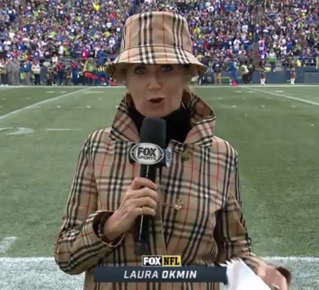 What was the Fox NFL field reporter wearing during the Giants v ...