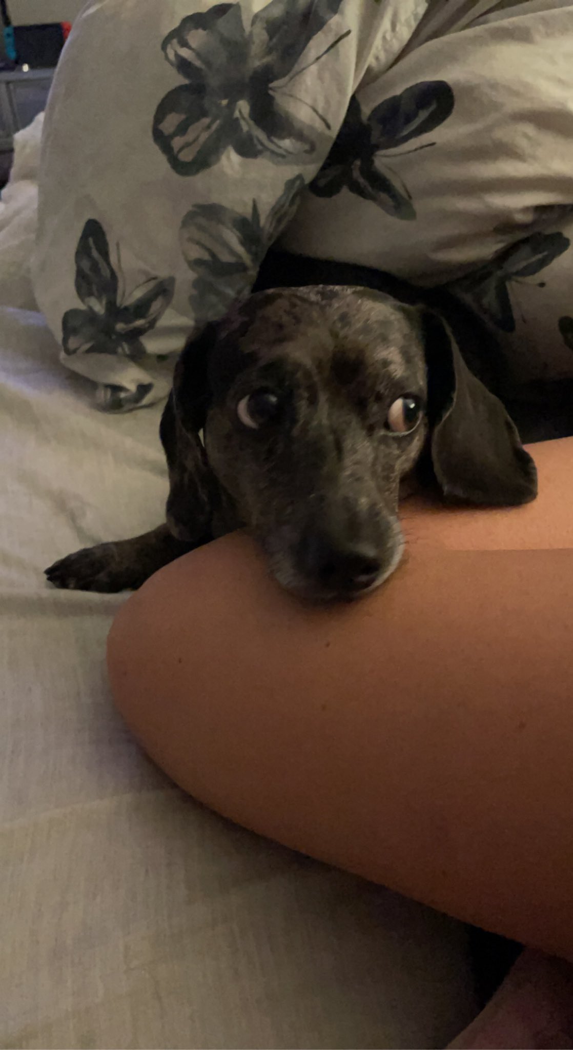 Carlie Jo on Twitter: "https://t.co/b4DzZiy3Zn" / Twitter