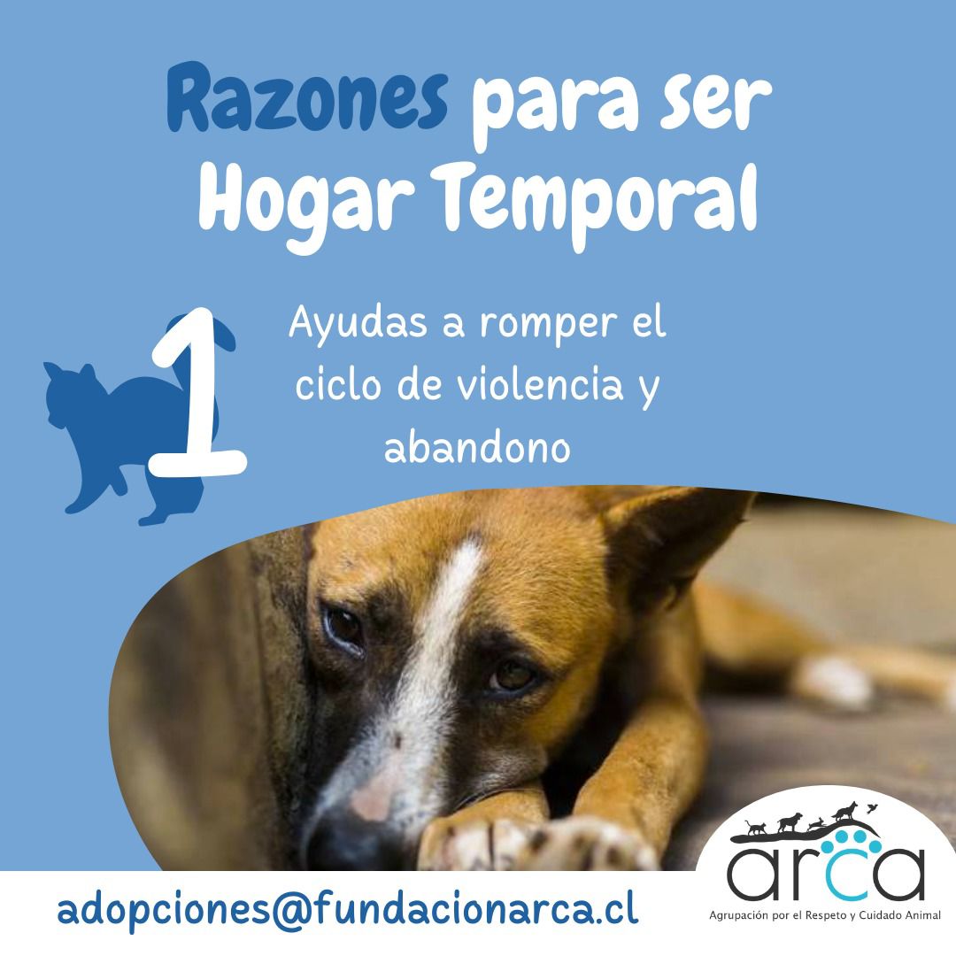 Fundacion Arca Chile on Twitter: Fundacion Arca Chile on Twitter: