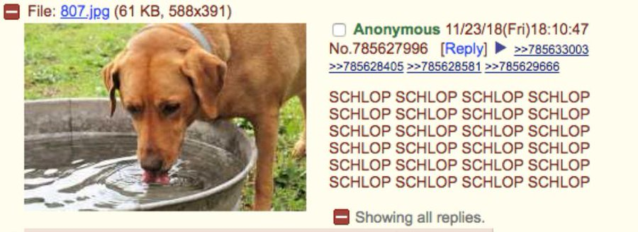 Plap Plap Get Pregnant | Know Your Meme