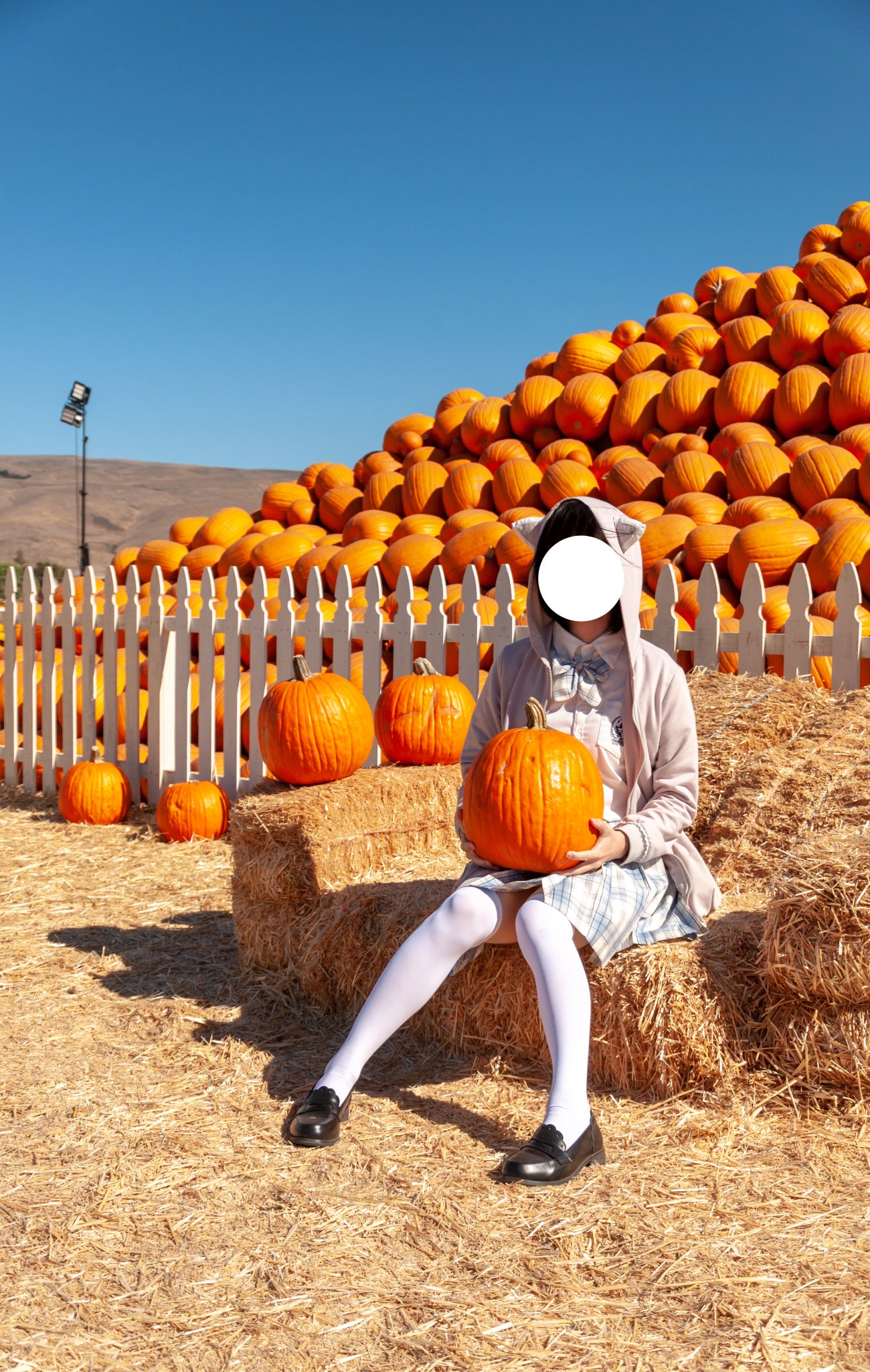 Alice_486 on Twitter: "南瓜 #女装 #白丝 https://t.co/g7DfC4roi8" / Twitter