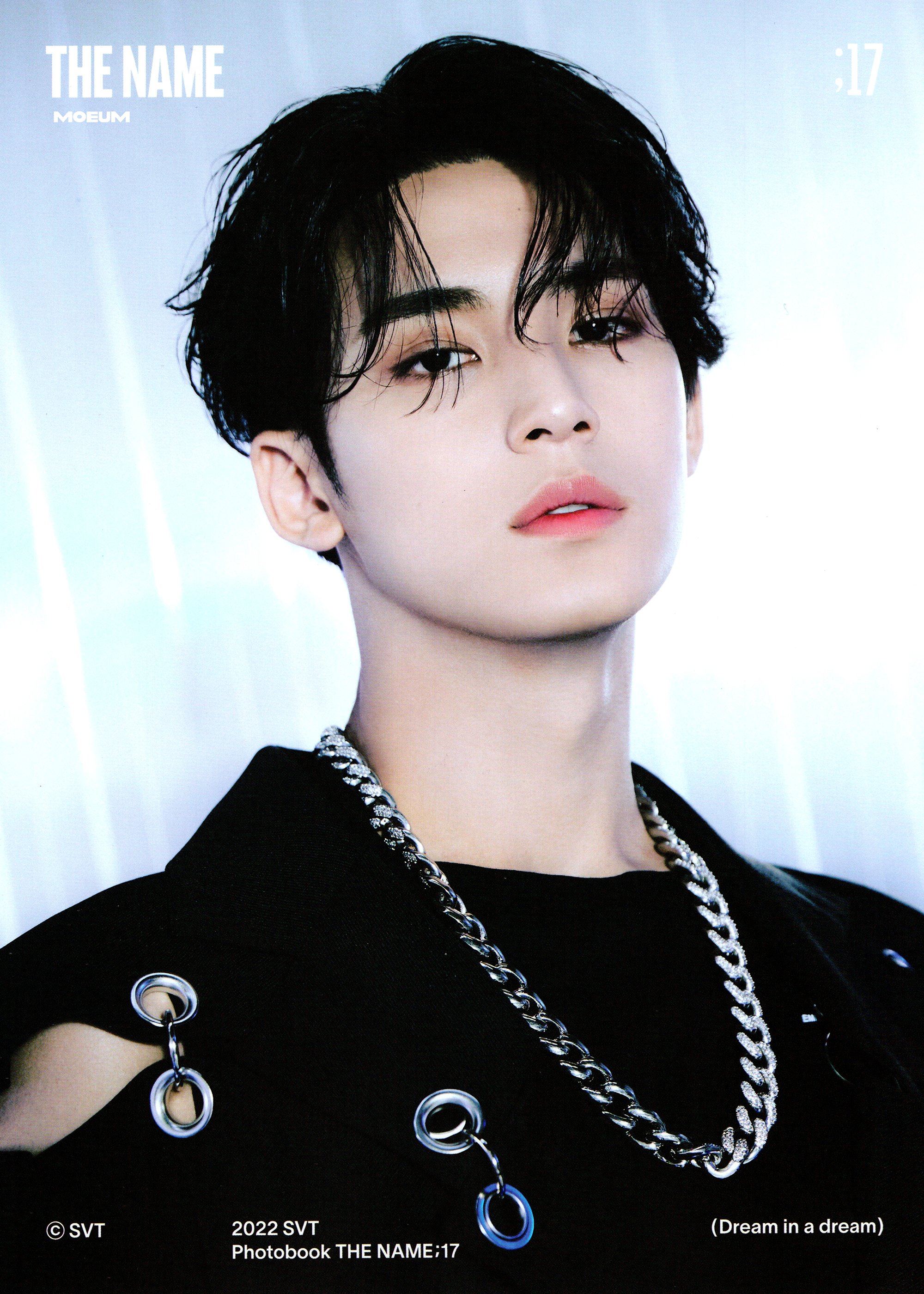 moeum on Twitter: "[SCAN] 더 네임;17 포스터북 #디에잇 #민규 #도겸 #세븐틴 https://t.co/ixk0ys2mH7" / Twitter