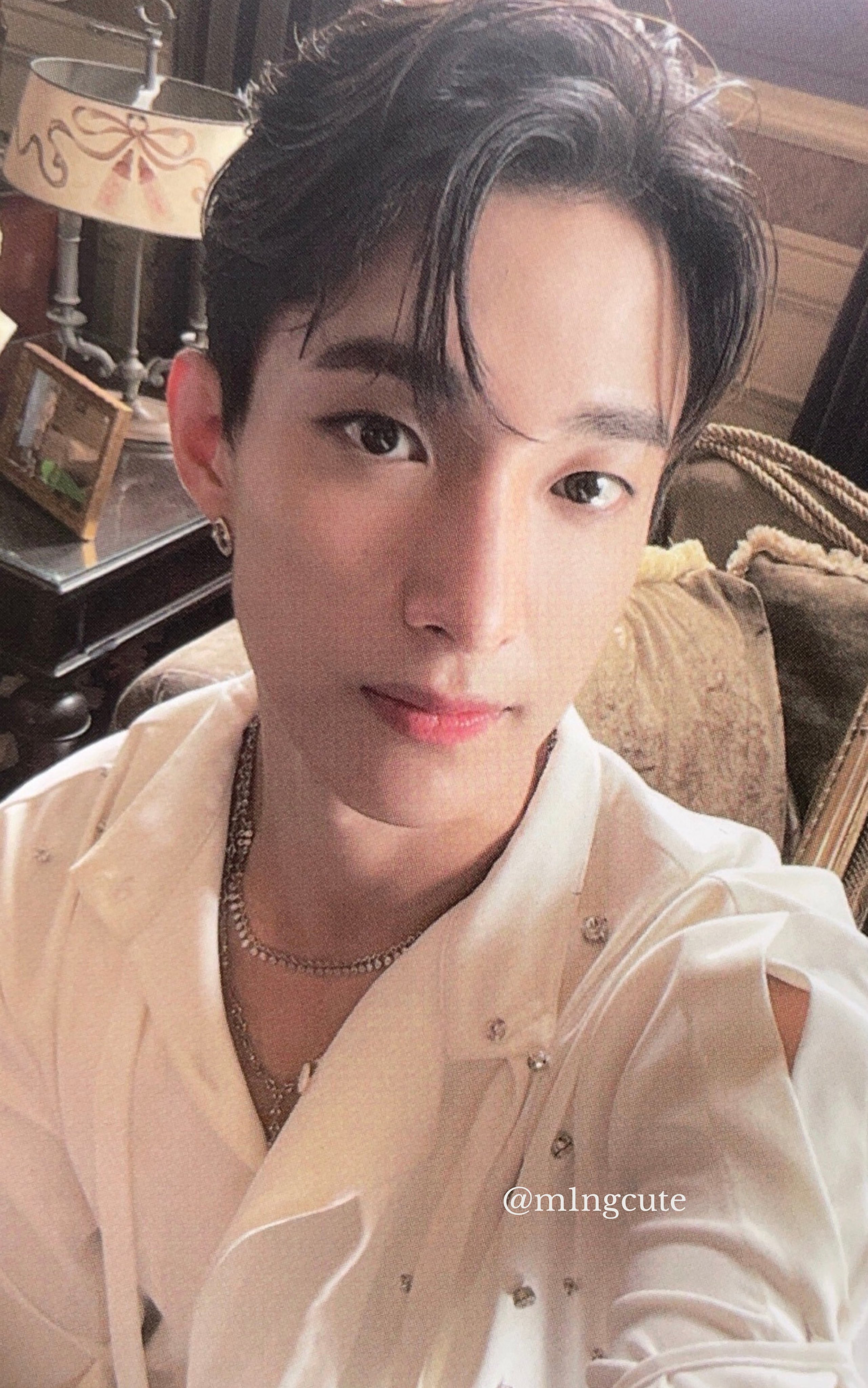 elle 𖧷 slow dm on Twitter: "[SCAN] Jeonghan, Mingyu & Vernon Sector 17 Kit PC 🏷️ seventeen svt ...