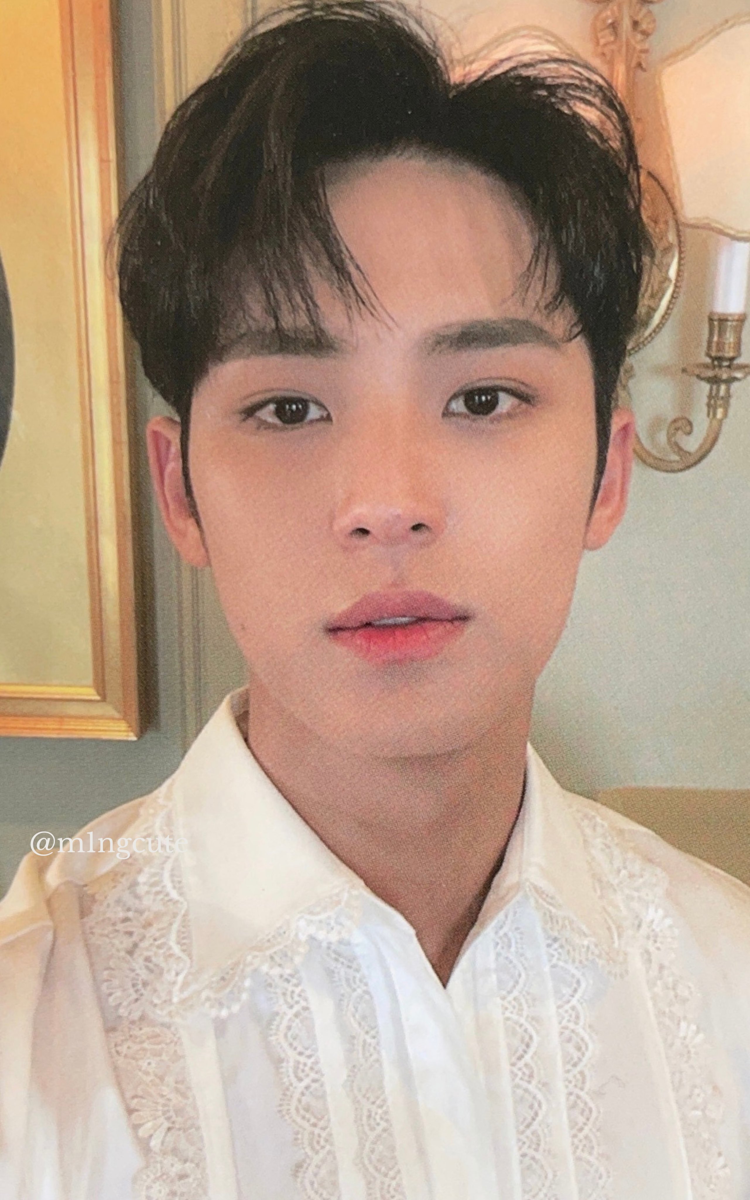 elle 𖧷 slow dm on Twitter: "[SCAN] Jeonghan, Mingyu & Vernon Sector 17 Kit PC 🏷️ seventeen svt ...