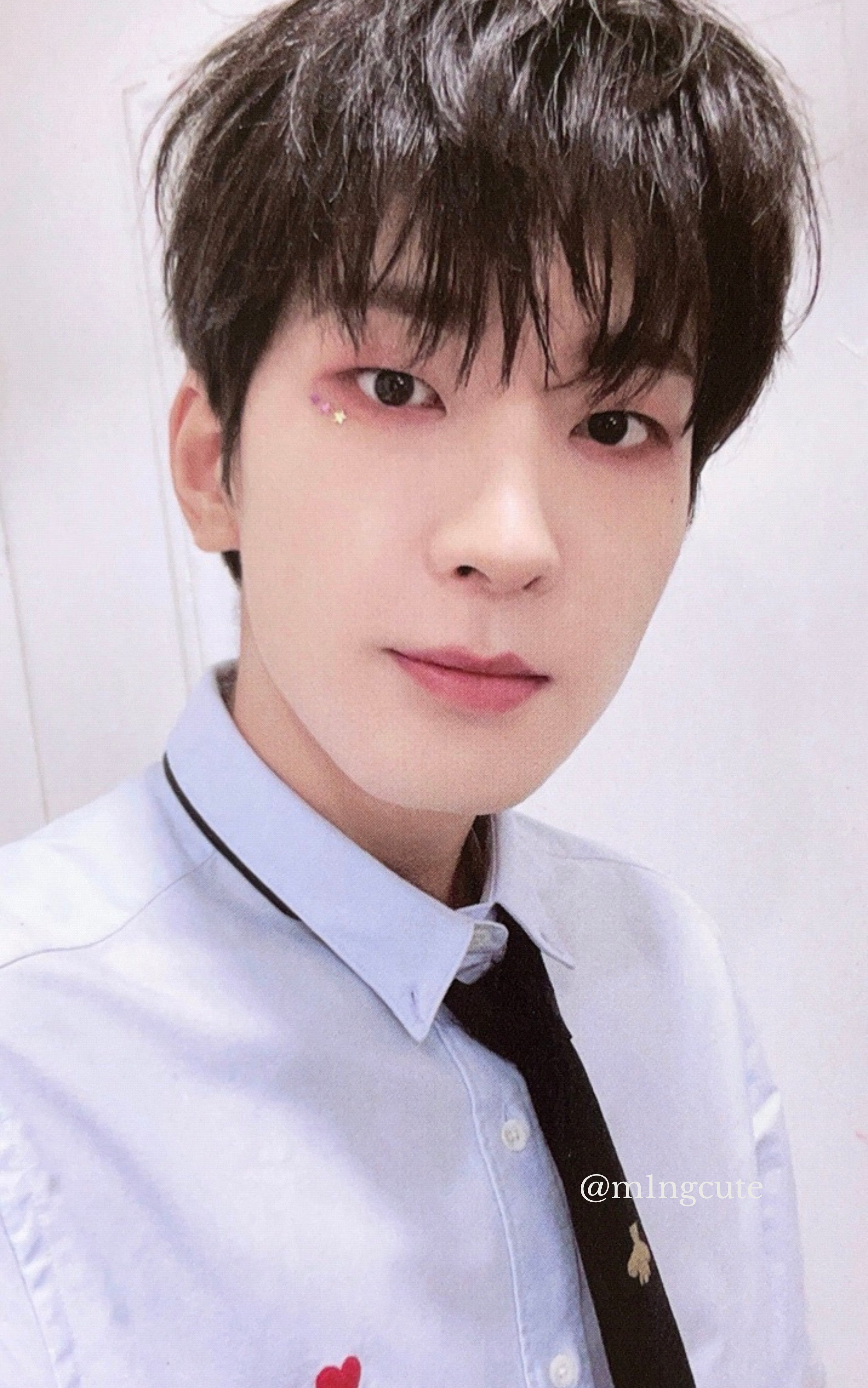 elle 𖧷 slow dm on Twitter: "[SCAN] Jeonghan, Mingyu & Vernon Sector 17 Kit PC 🏷️ seventeen svt ...