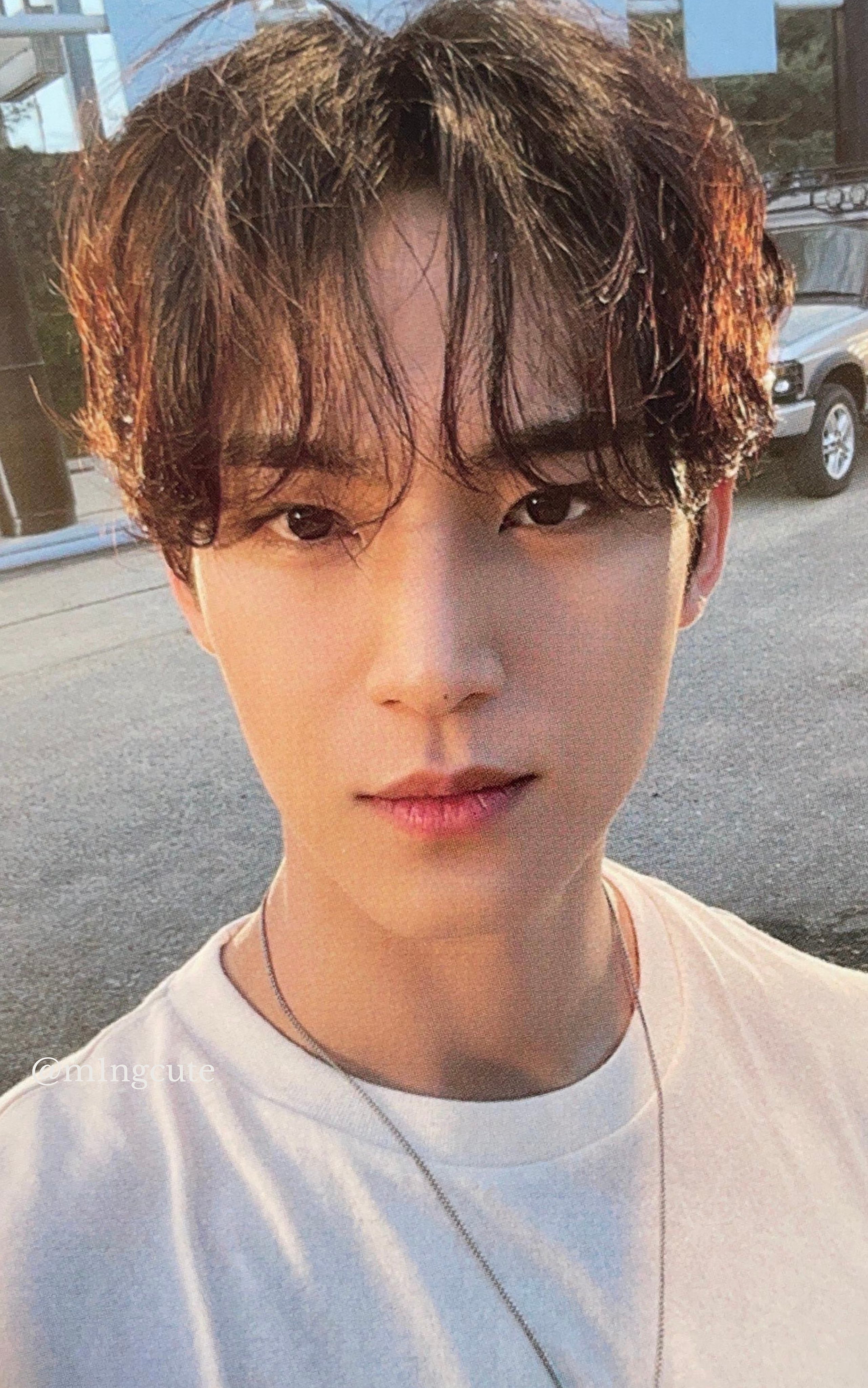 elle 𖧷 slow dm on Twitter: "[SCAN] Jeonghan, Mingyu & Vernon Sector 17 Kit PC 🏷️ seventeen svt ...