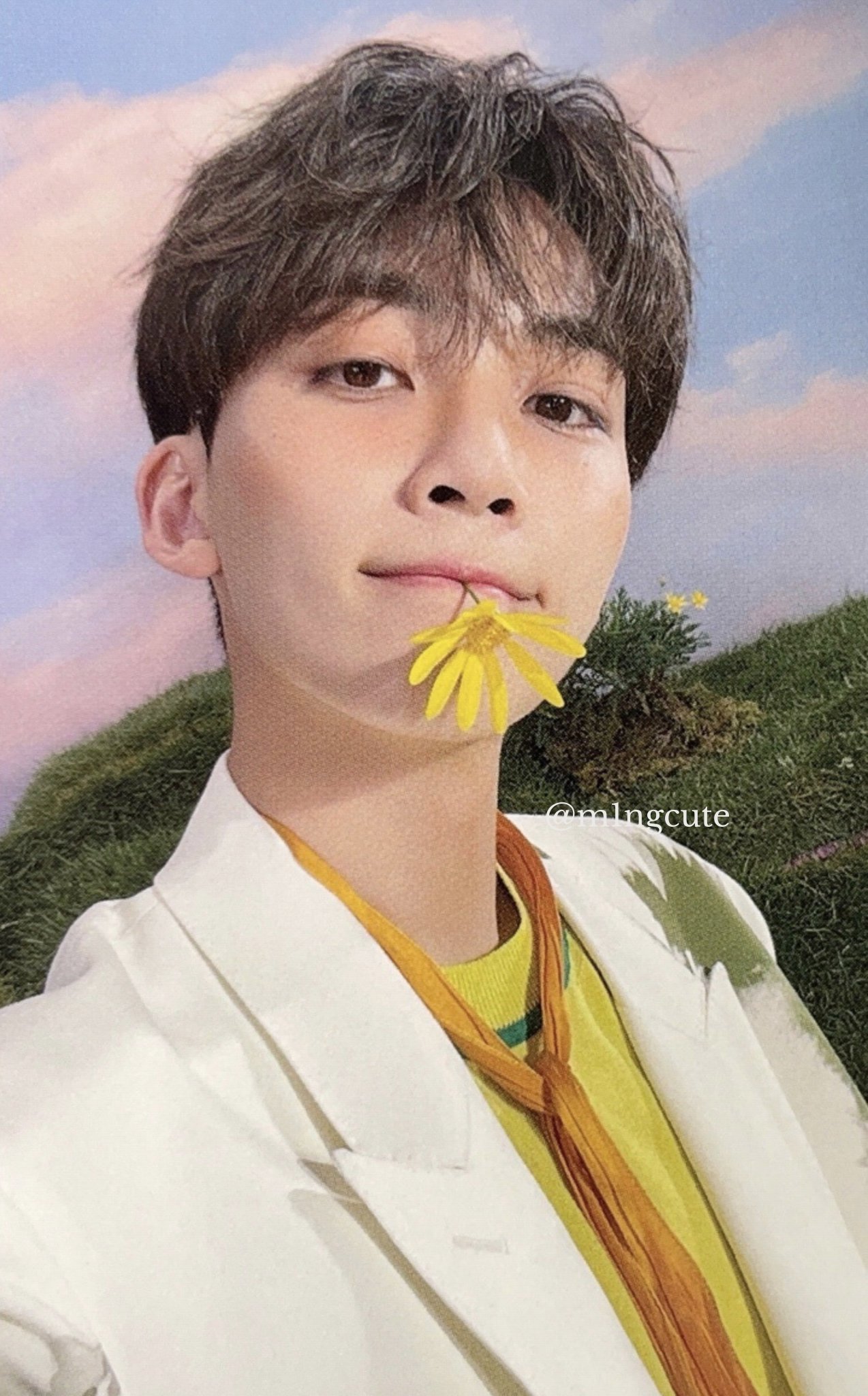 elle 𖧷 slow dm on Twitter: "[SCAN] Jeonghan, Mingyu & Vernon Sector 17 Kit PC 🏷️ seventeen svt ...