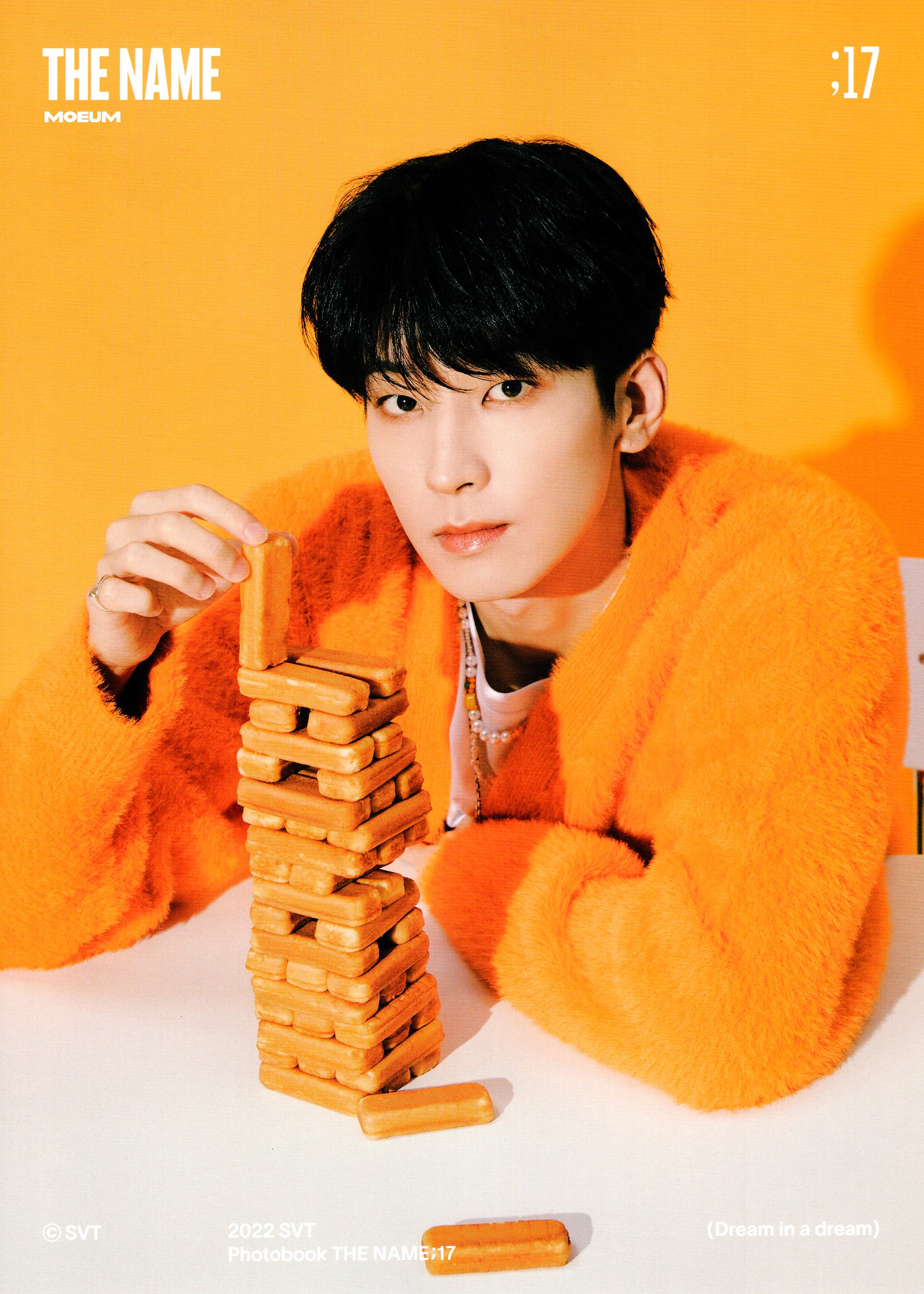 moeum on Twitter: "[SCAN] 더 네임;17 포스터북 #준 #호시 #원우 #우지 #세븐틴 https://t.co/jtUt3rtbnz" / Twitter
