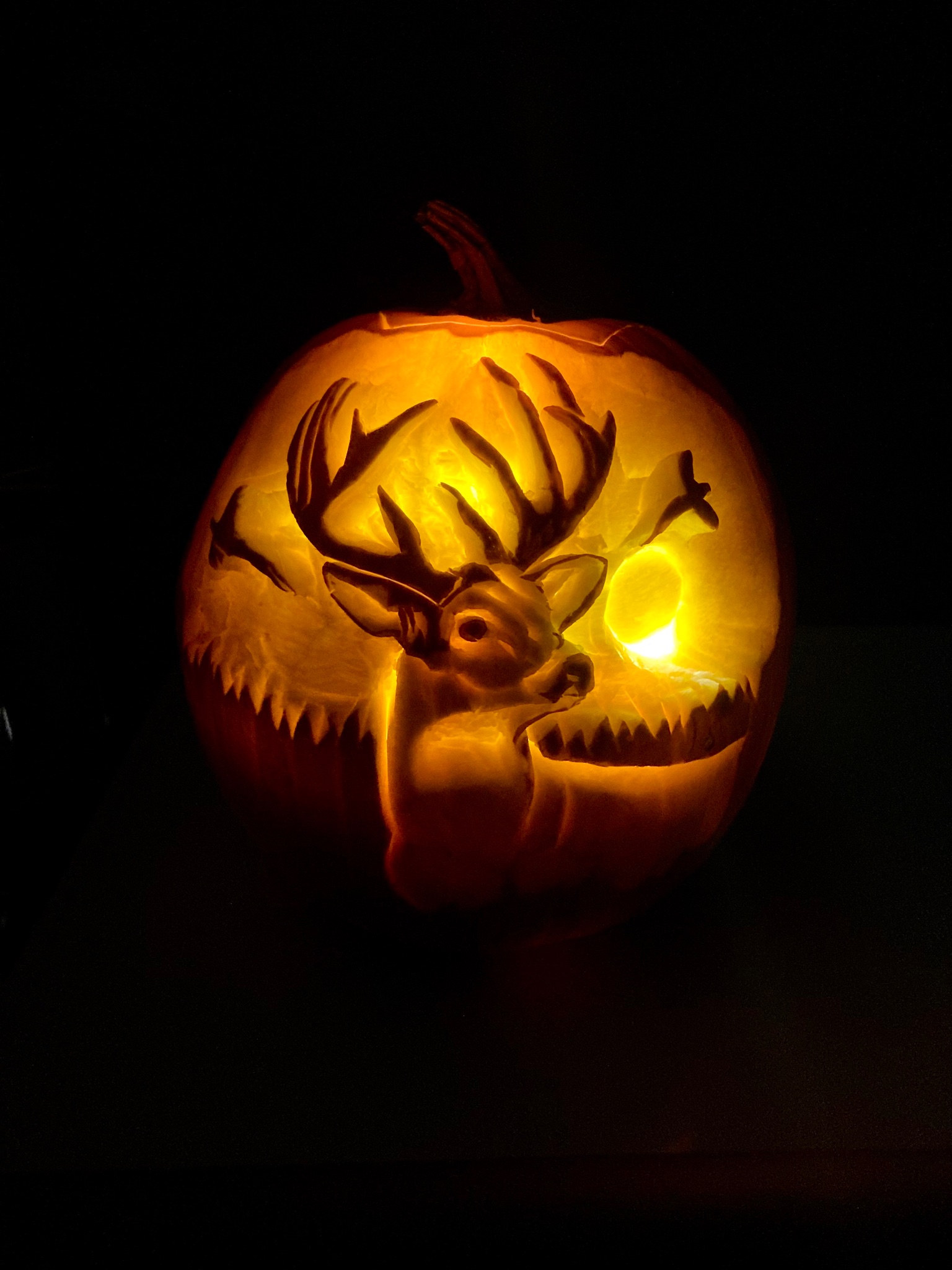 Deer Pumpkin Template