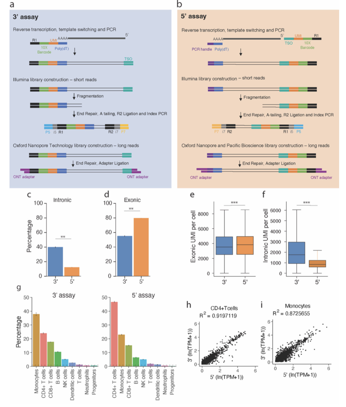 antisense. on Twitter: "Comparing 10x Genomics single-cell 3' and 5' assay in short-and long ...