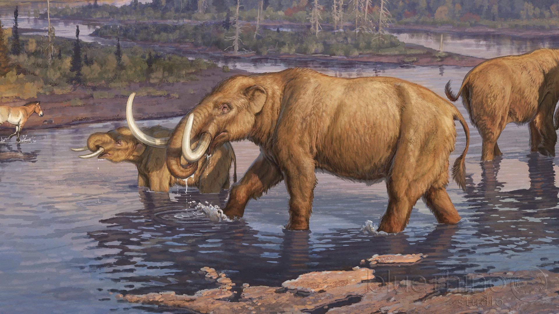 Mastodon Habitat