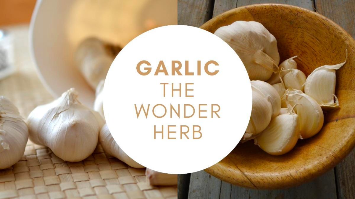 One of the world's oldest crops: Garlic Why you should be consuming ...