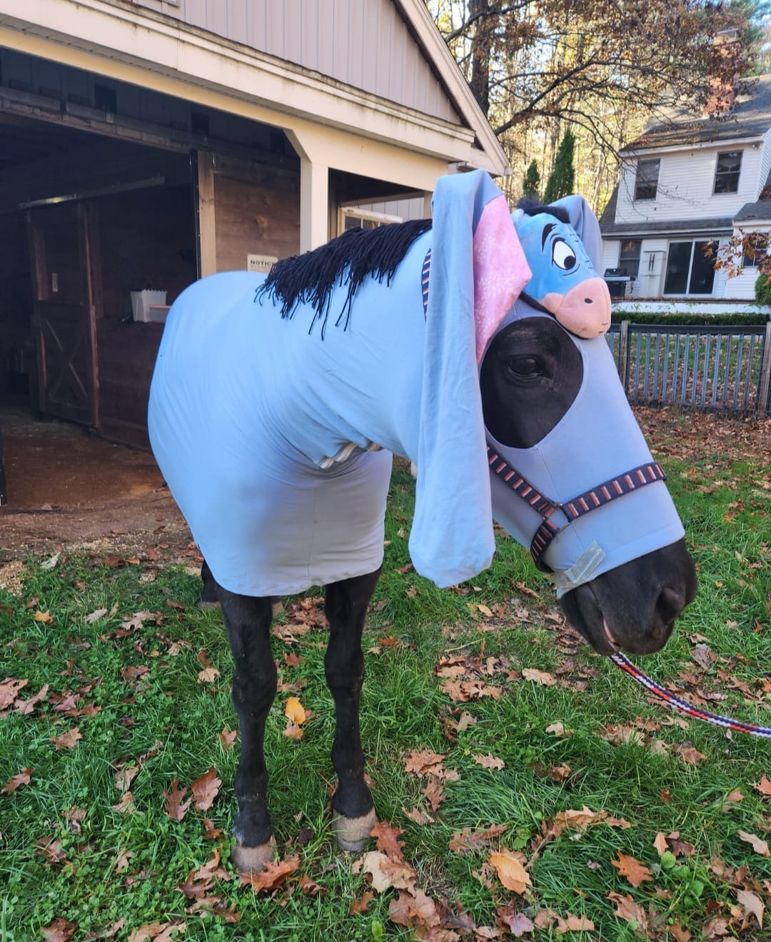 Diy Eeyore Costume