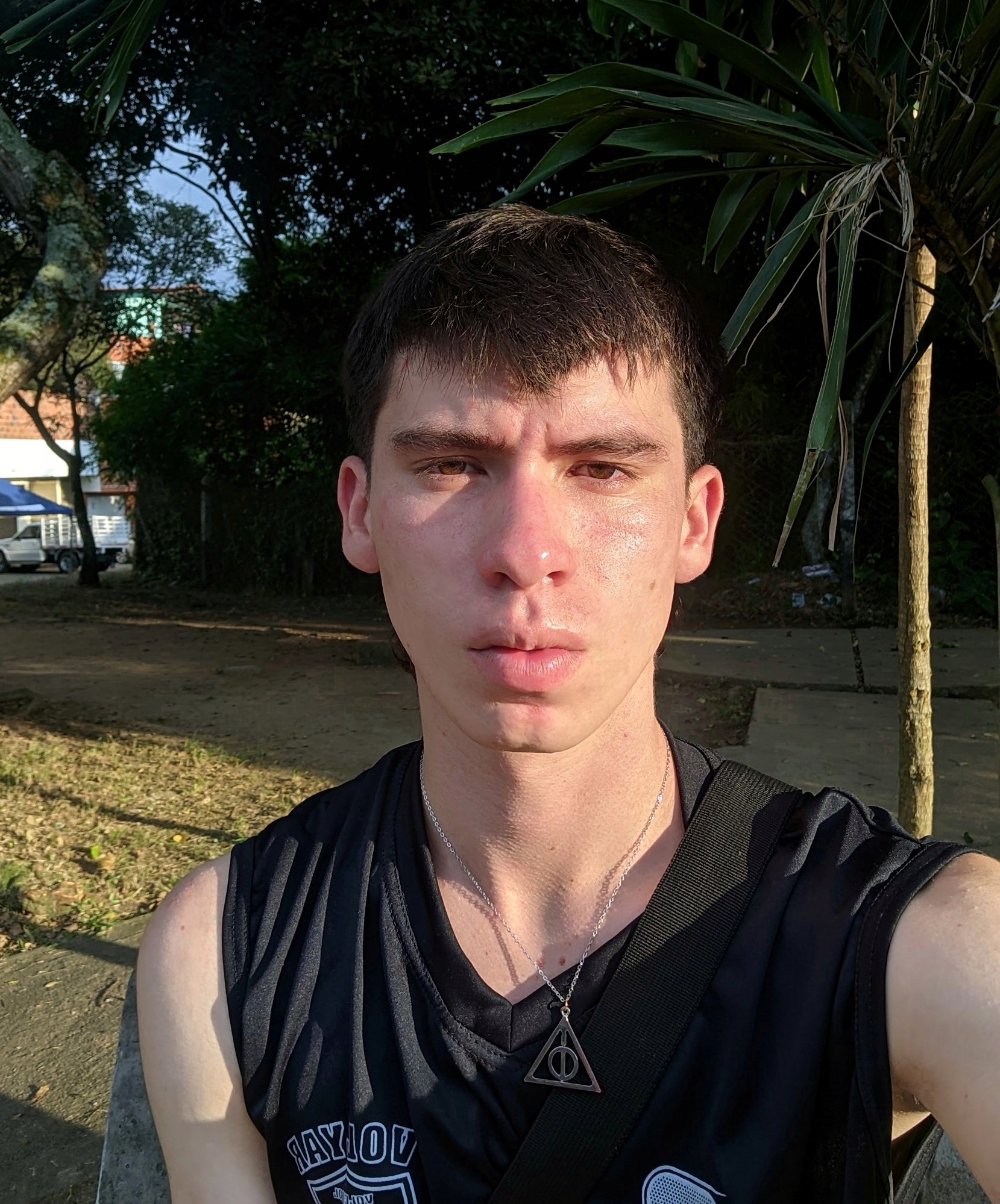 Sebas on Twitter: "🏐 https://t.co/aNiAdYKzL1" / Twitter