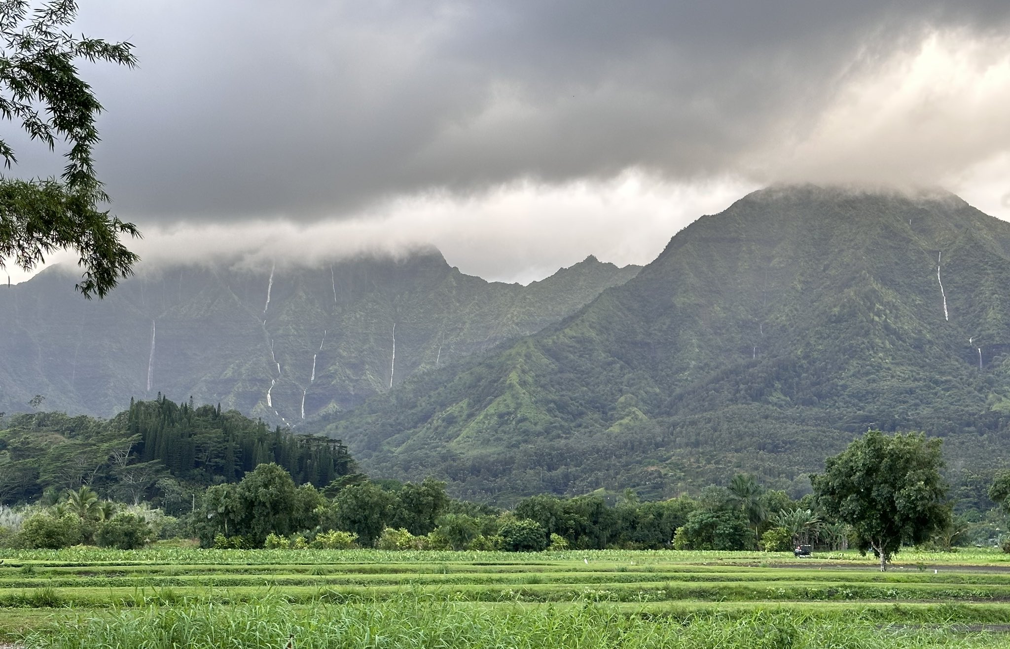 Gil Tene (@giltene) / Twitter