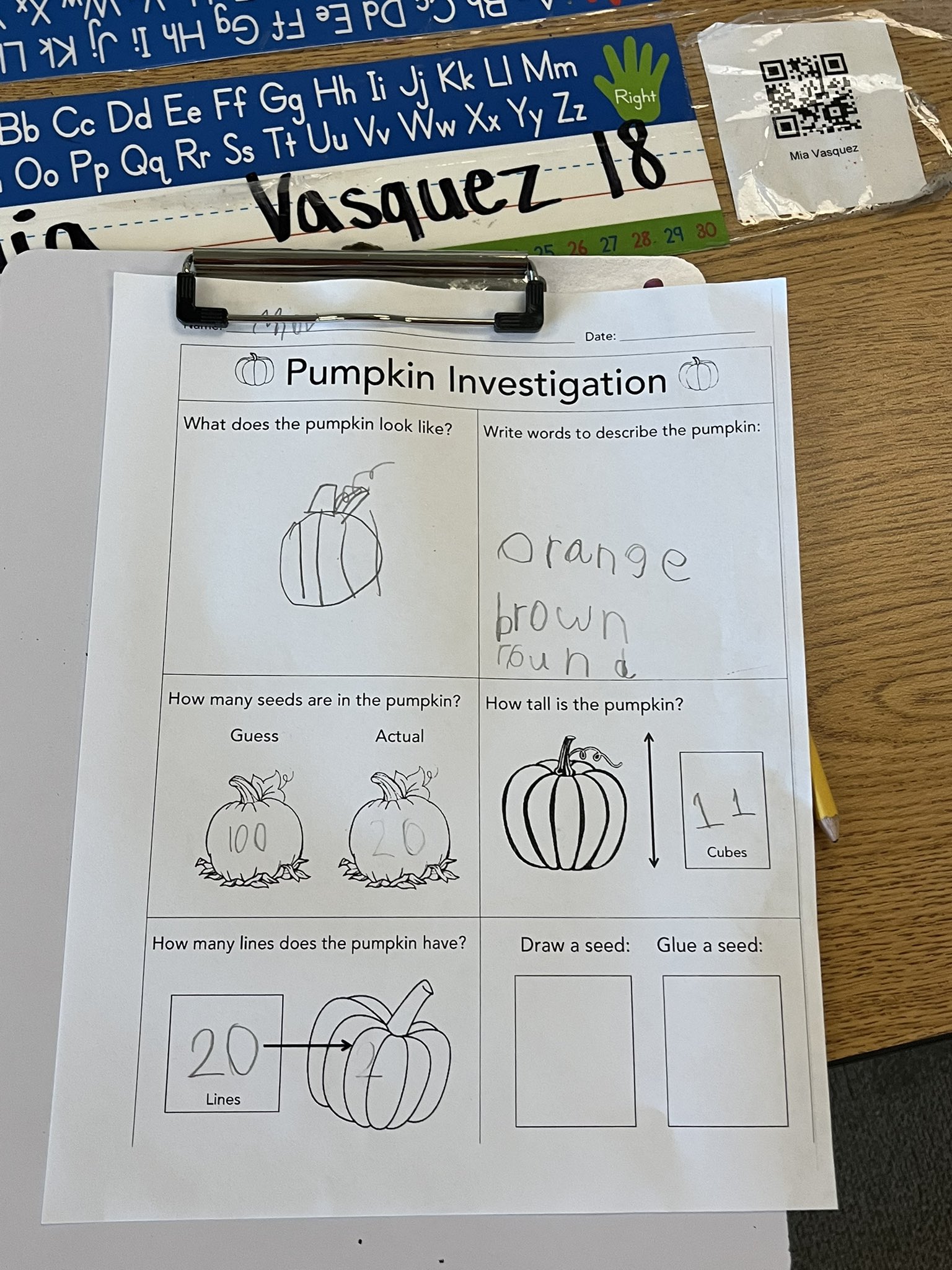 Vaughn Elementary on Twitter: "RT @Vasilykinder: Pumpkin science ...